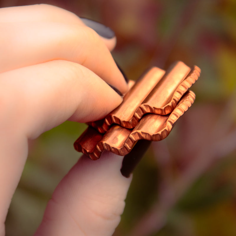 Haptic Pair of Sliding Pickle Chips Worry Coins - Raw Copper